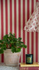 Tangier Red Stripe Wallpaper